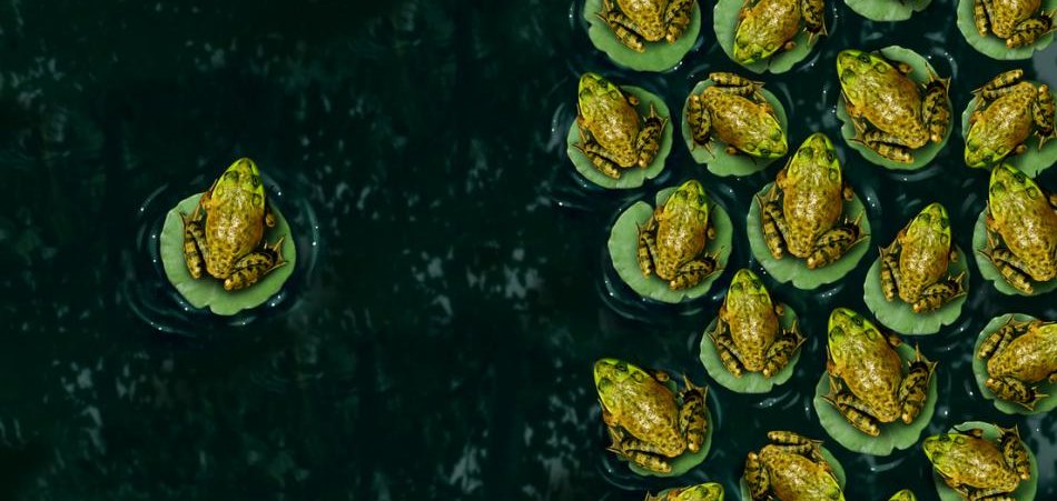 Availability is provided from within the Master Plan - Learn About ...