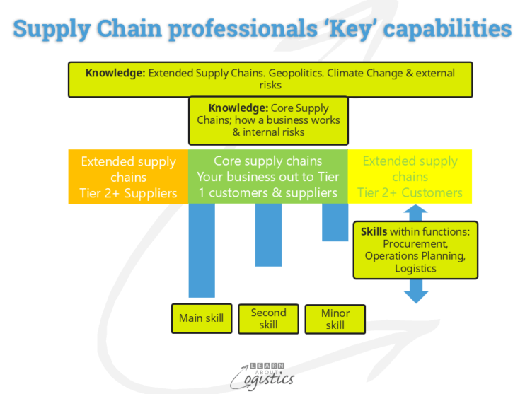 Skills for professionals in the Supply Chains group - Learn About Logistics